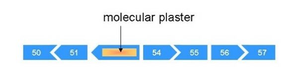What is exon skipping and how does it work? - Muscular Dystrophy UK