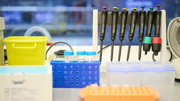 New research sheds light on the cause of myotonic dystrophy type 1 ...