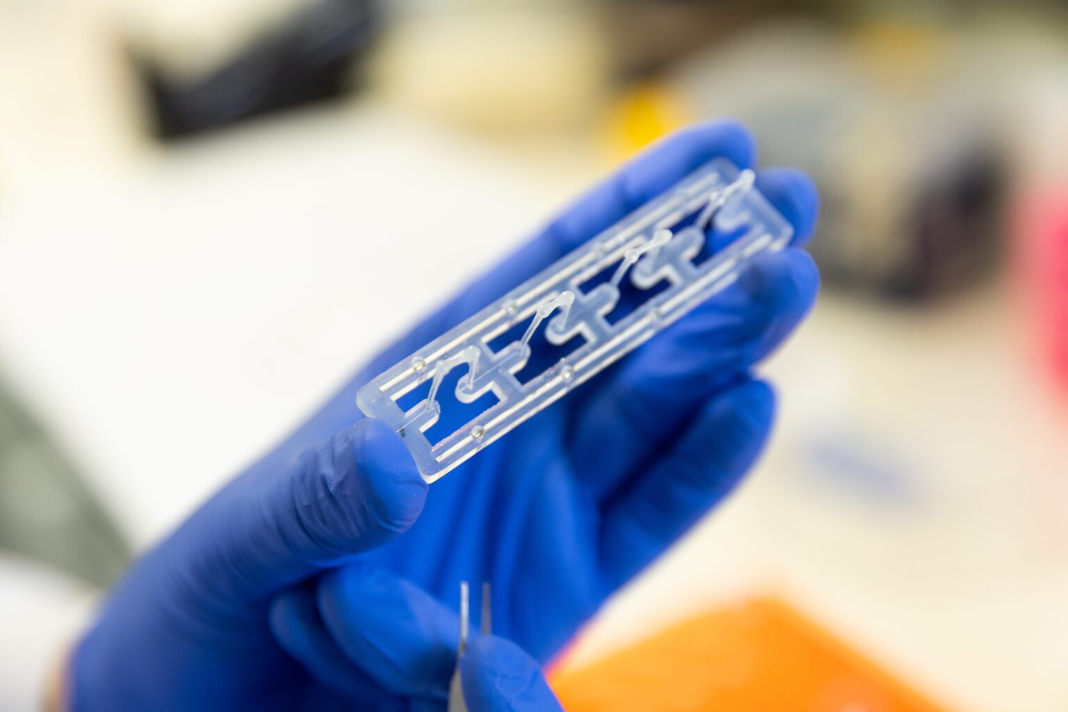 Developing next-generation therapies for LMNA-related congenital ...