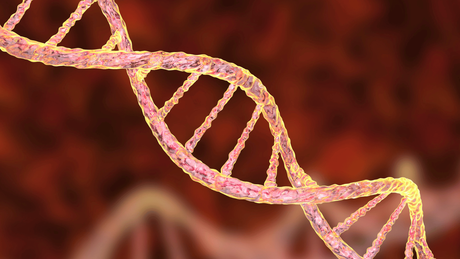 Potential gene therapy for LGMD shows early signs of helping muscle ...